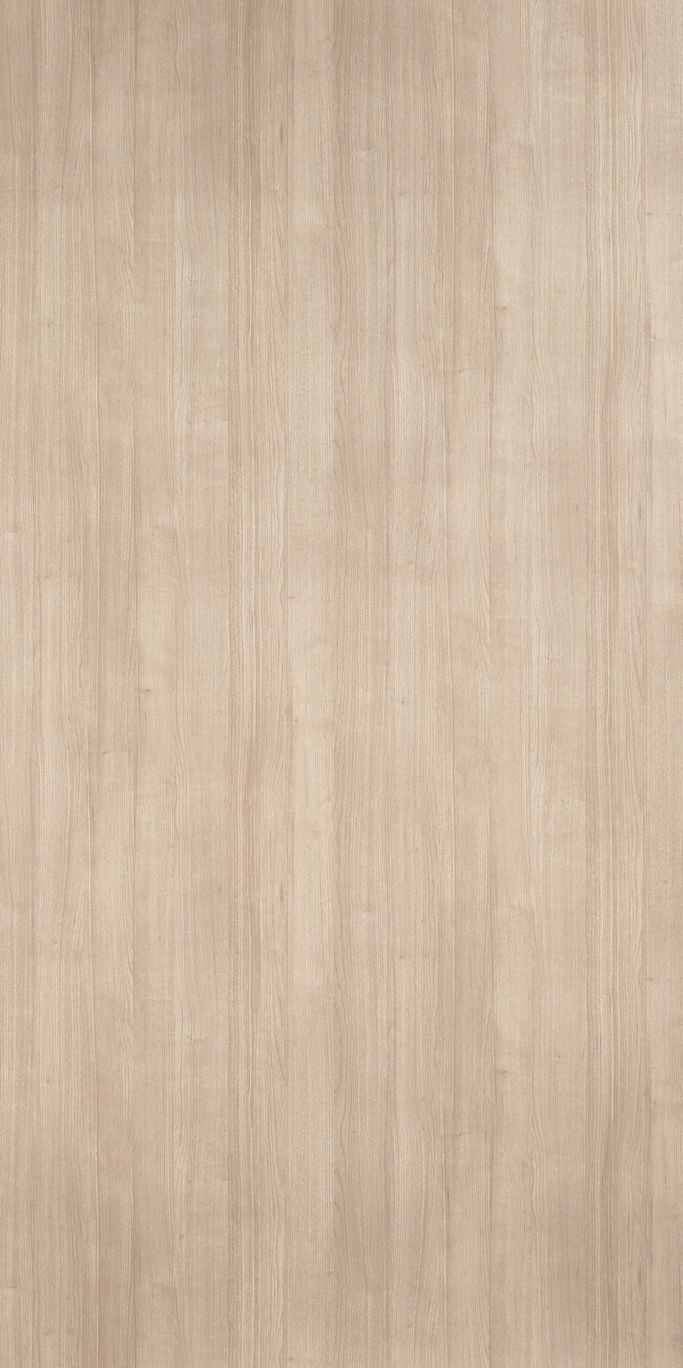 0867 - Sand Cherry | Sample