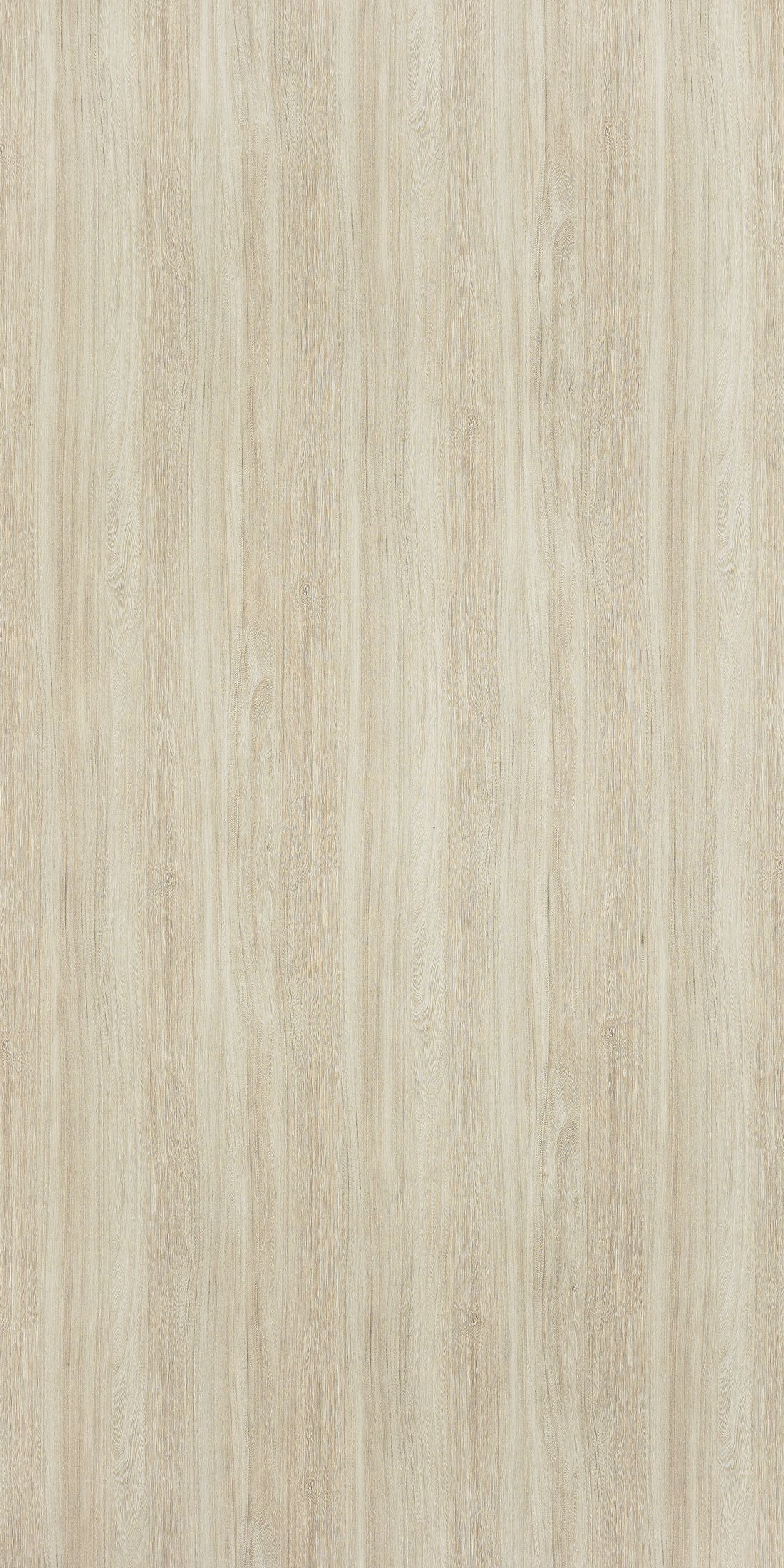 6404 - Bleached Elm | Sample