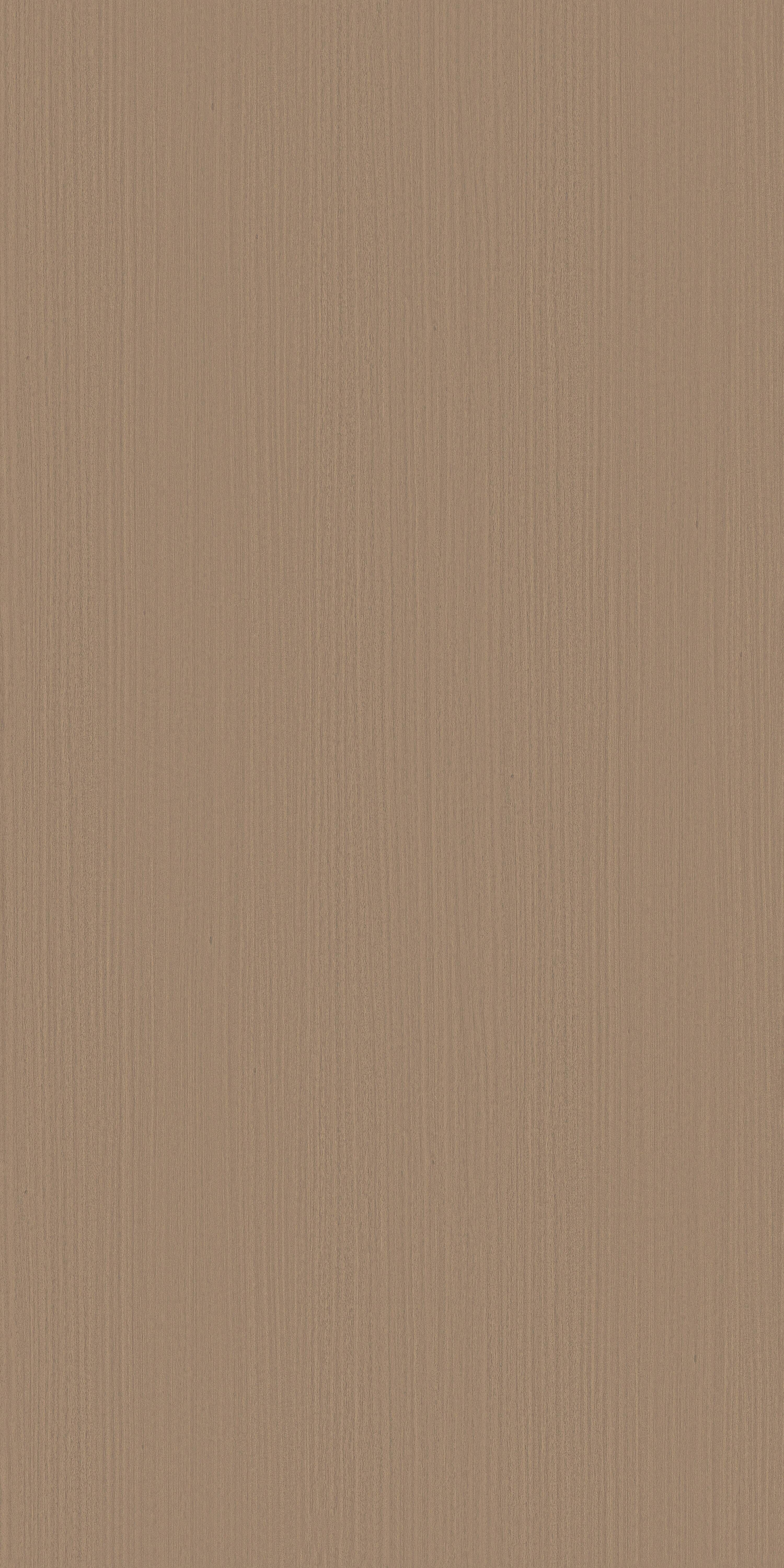 8806 - Eucalyptus Naturale | Sample