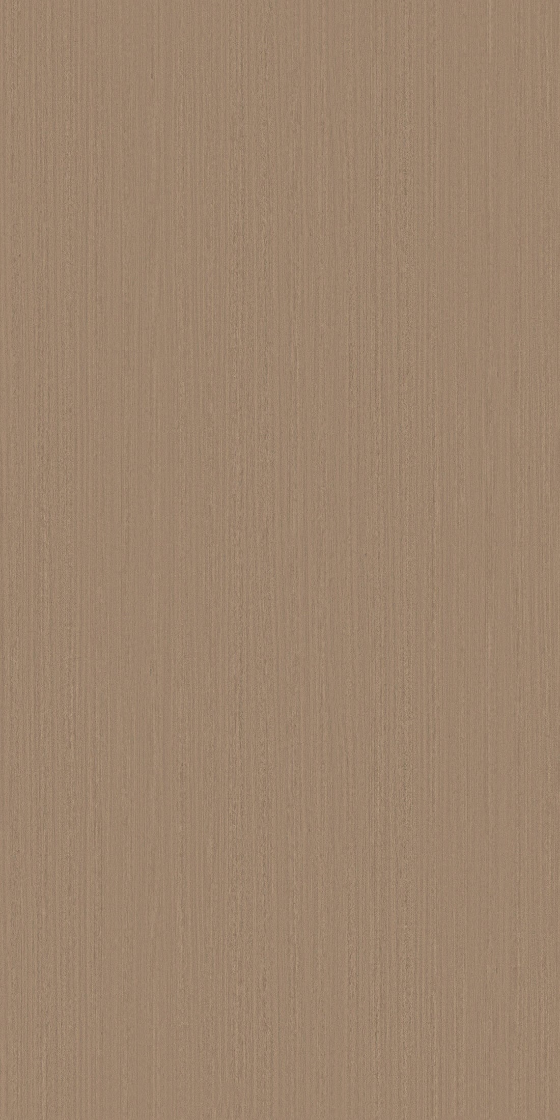 8806 - Eucalyptus Naturale