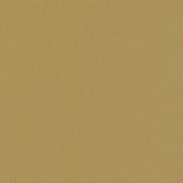 Formica® Shop Singapore | Catalogue