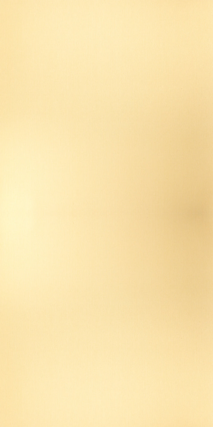 D8123 - Gold Brush