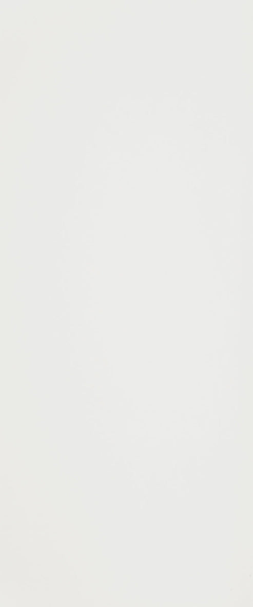 D8206 - Gloss Magnetic Whiteboard